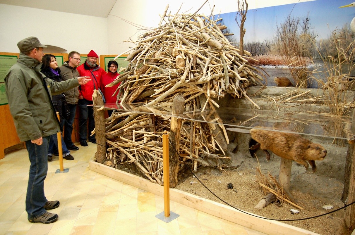 Jahreshauptversammlung Naturschutzbund Salzburg - Naturschutzbund ...