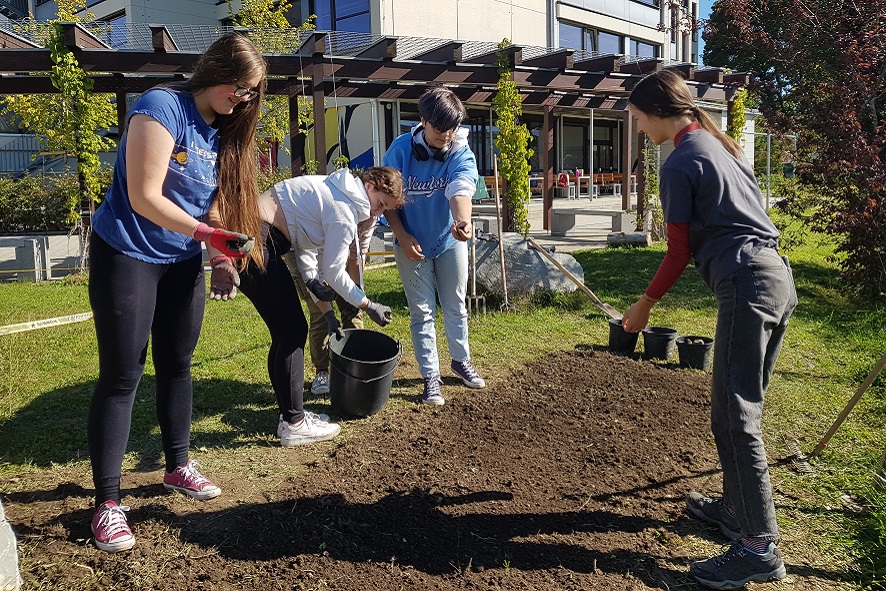 Neue Lebensräume für Schmetterlinge am BORG Lauterach - Naturschutzbund ...