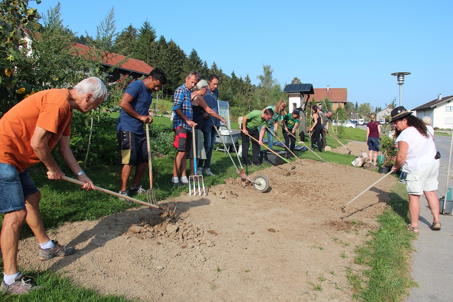 Eine Blumenwiese für die Artenvielfalt - Praxiskurs zur Anlage von ...