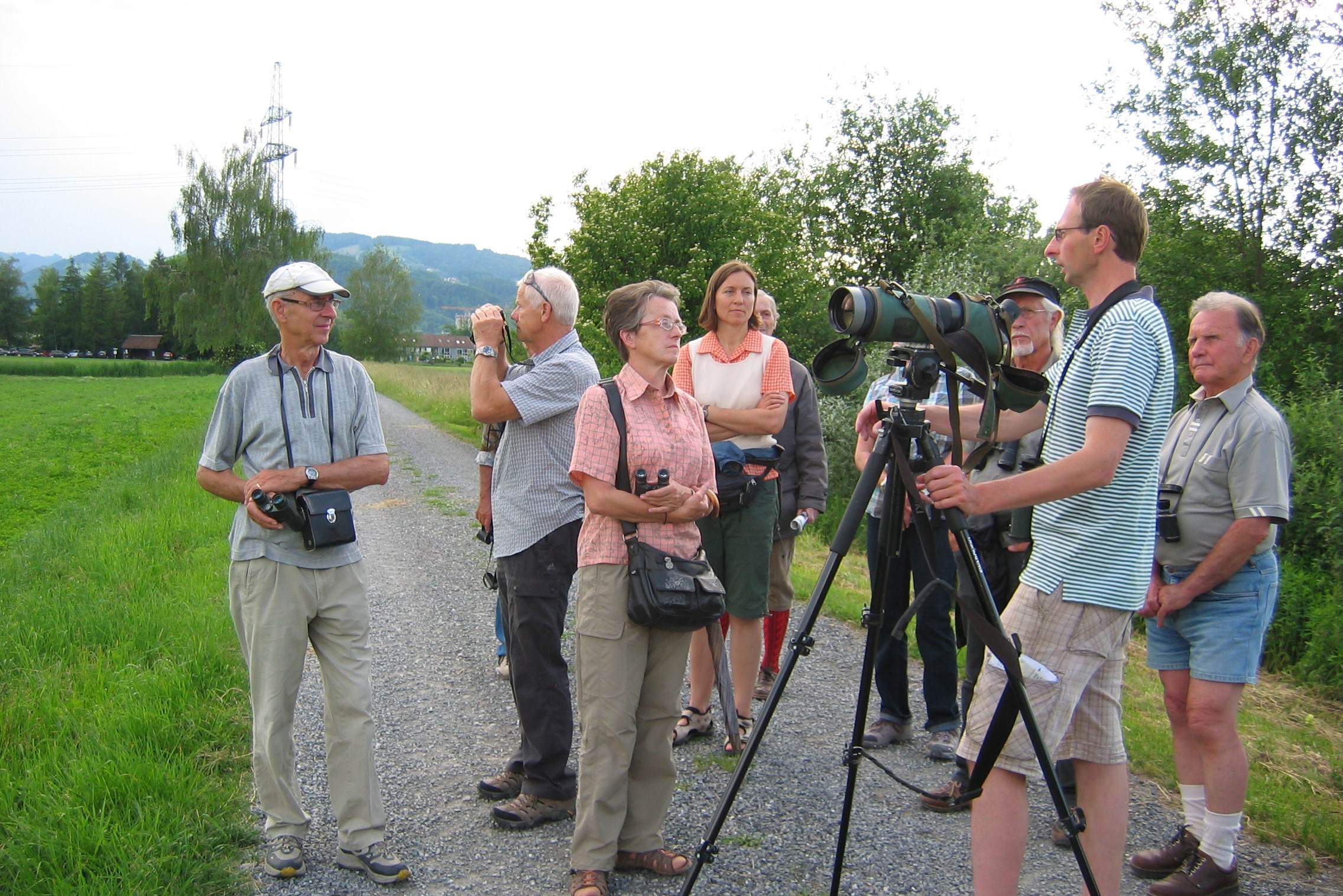 Riedvögel im Fokus - Exkursion ins Gleggen - Naturschutzbund Österreich